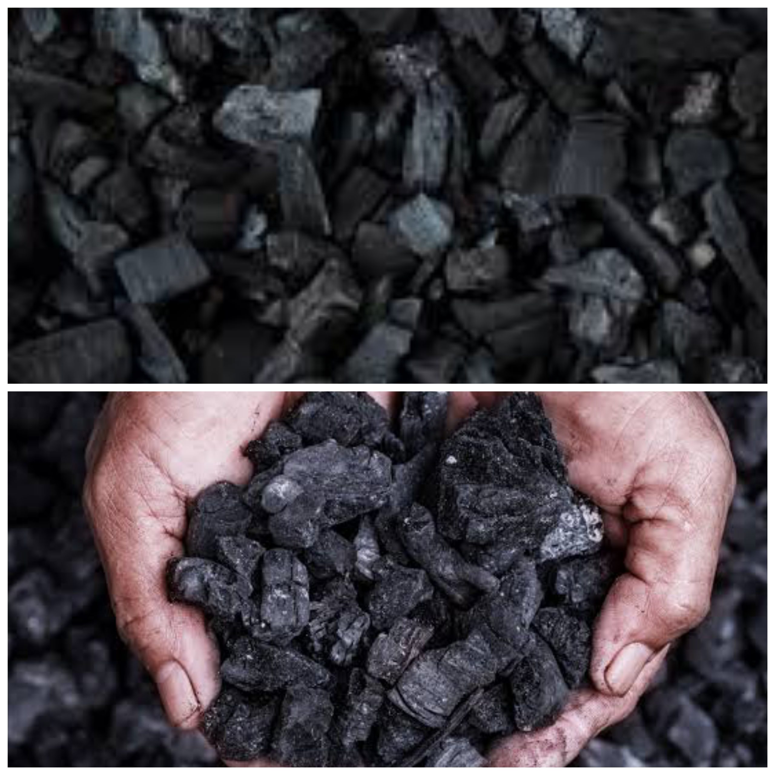 Breaking news…Charcoal becomes gold in Mararaba/Nyanya axis in Abuja ...